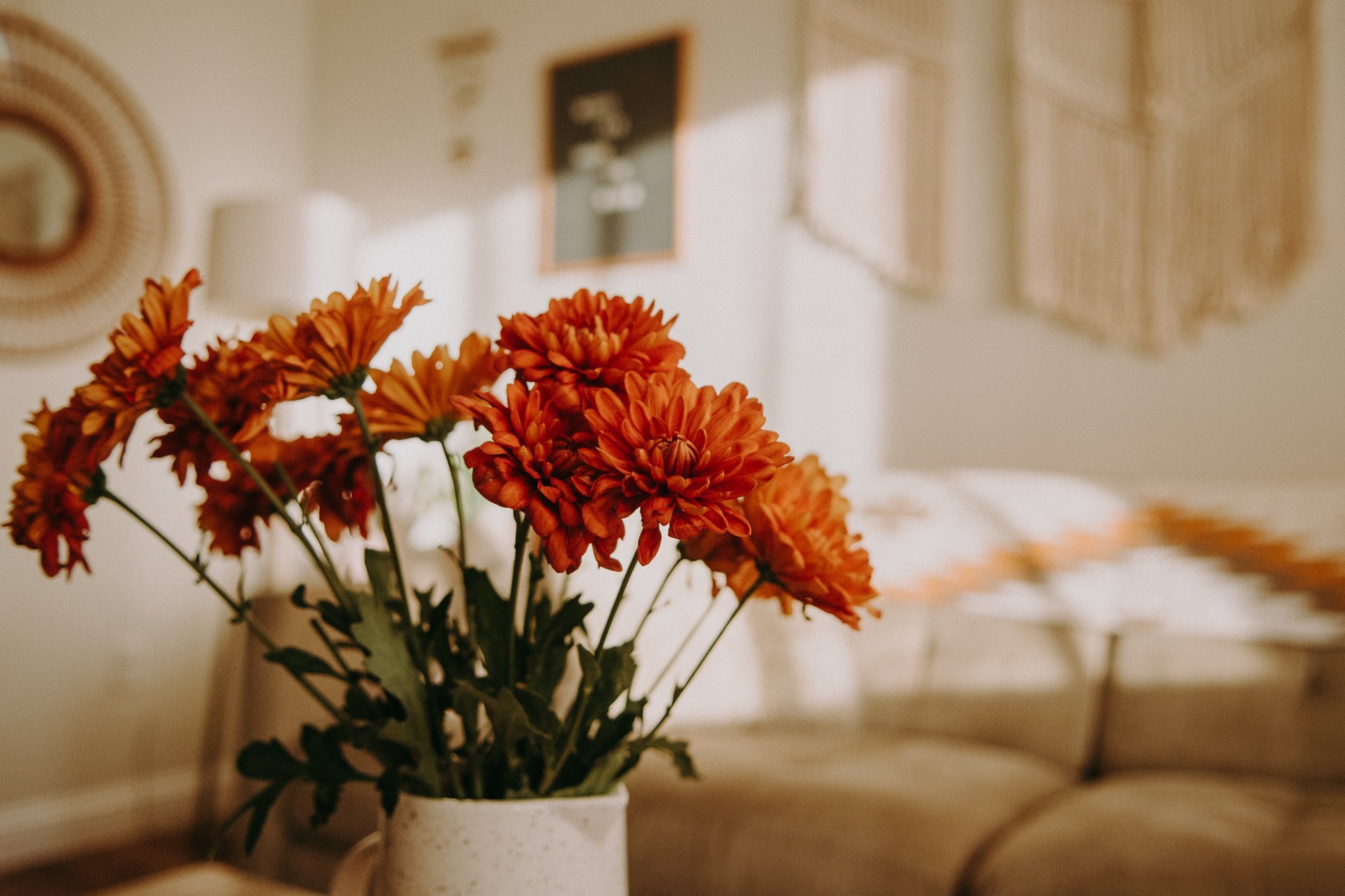 Golden Hour — Ashlee Gadd